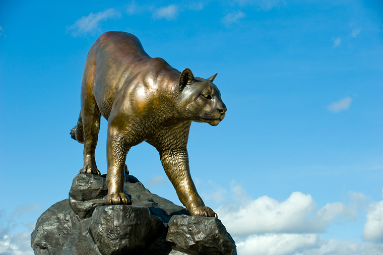 Welcome to Student Services! | Office of Native American Programs | Washington State University