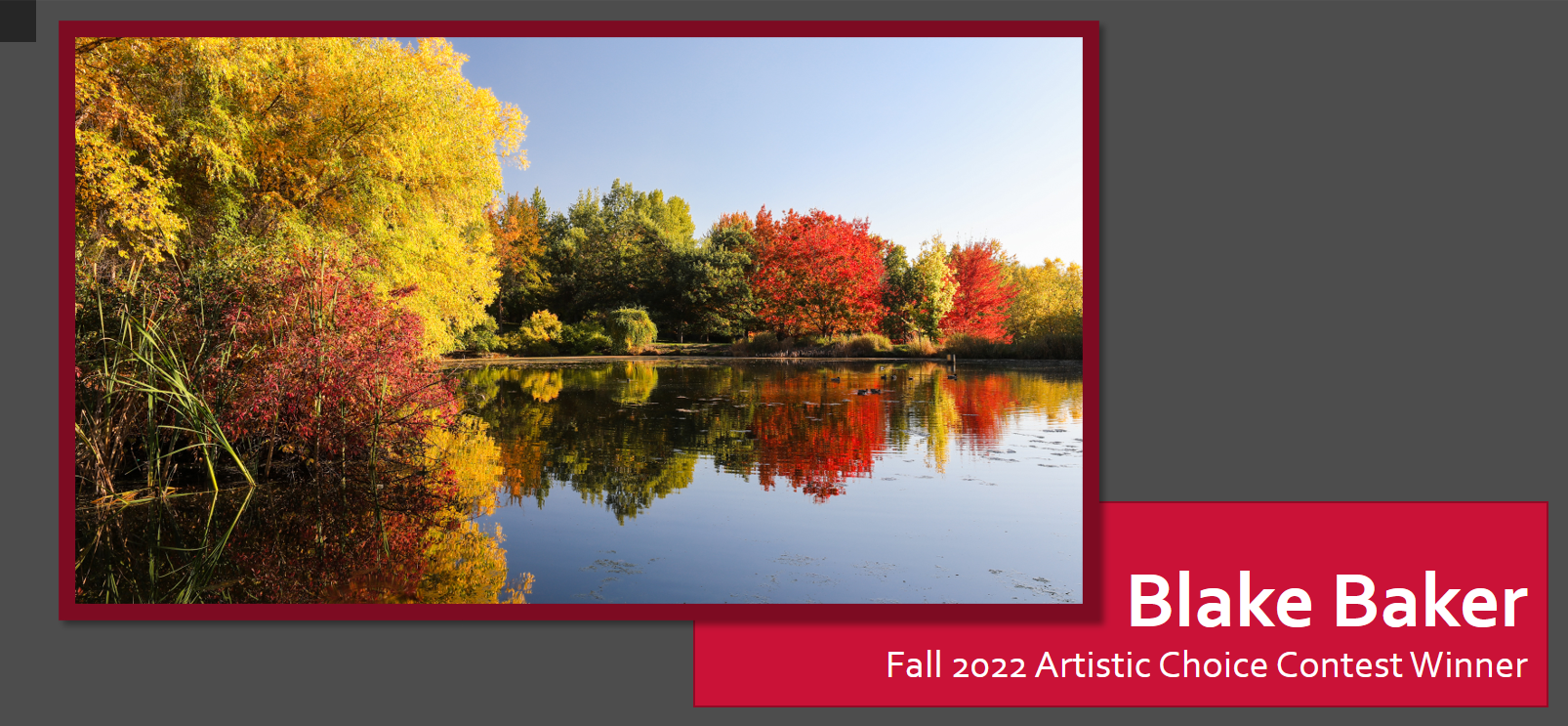 2023 APAC Photo Contest | Administrative Professional Advisory Council ...