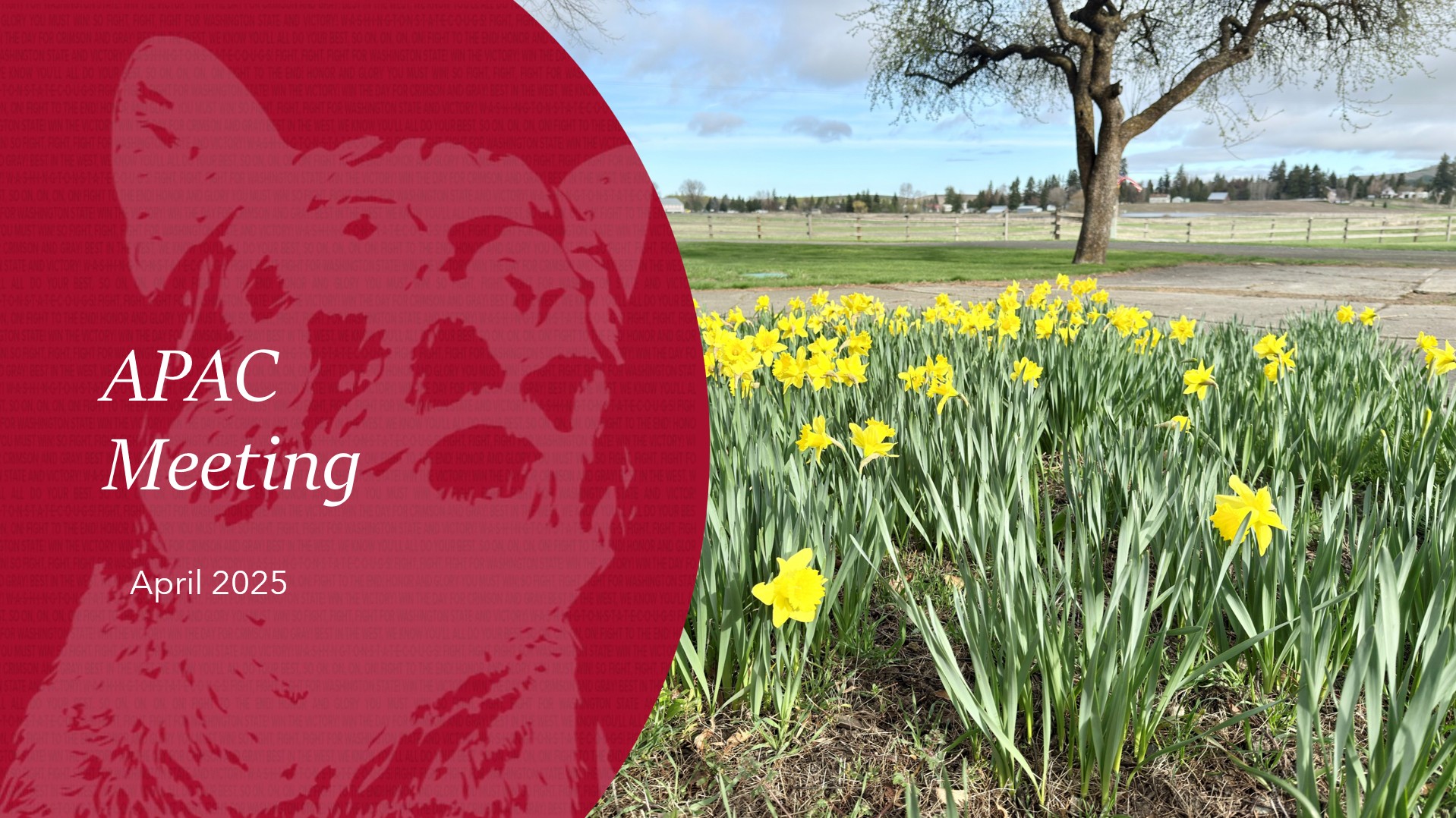 Recordings – Presentations and Meetings | Administrative Professional ...