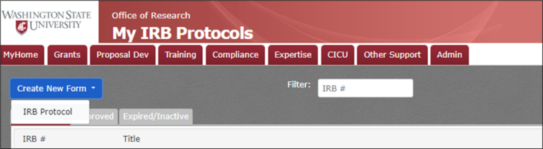 eIRB Submission Guide | HRPP/IRB Washington State University ...