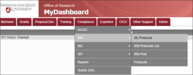 eIRB Submission Guide | HRPP/IRB Washington State University ...