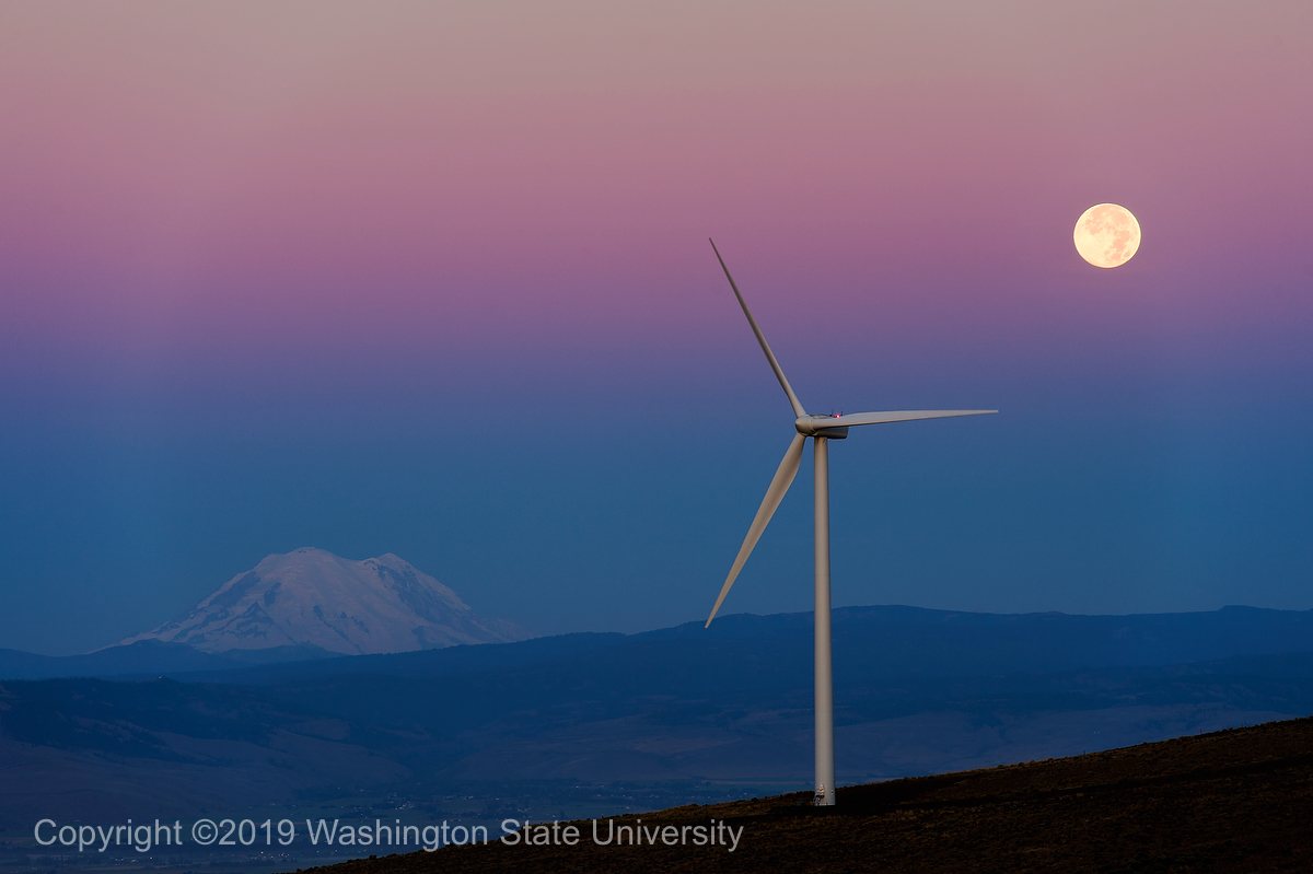 WSU / Pacific Northwest National Laboratory | Washington State University