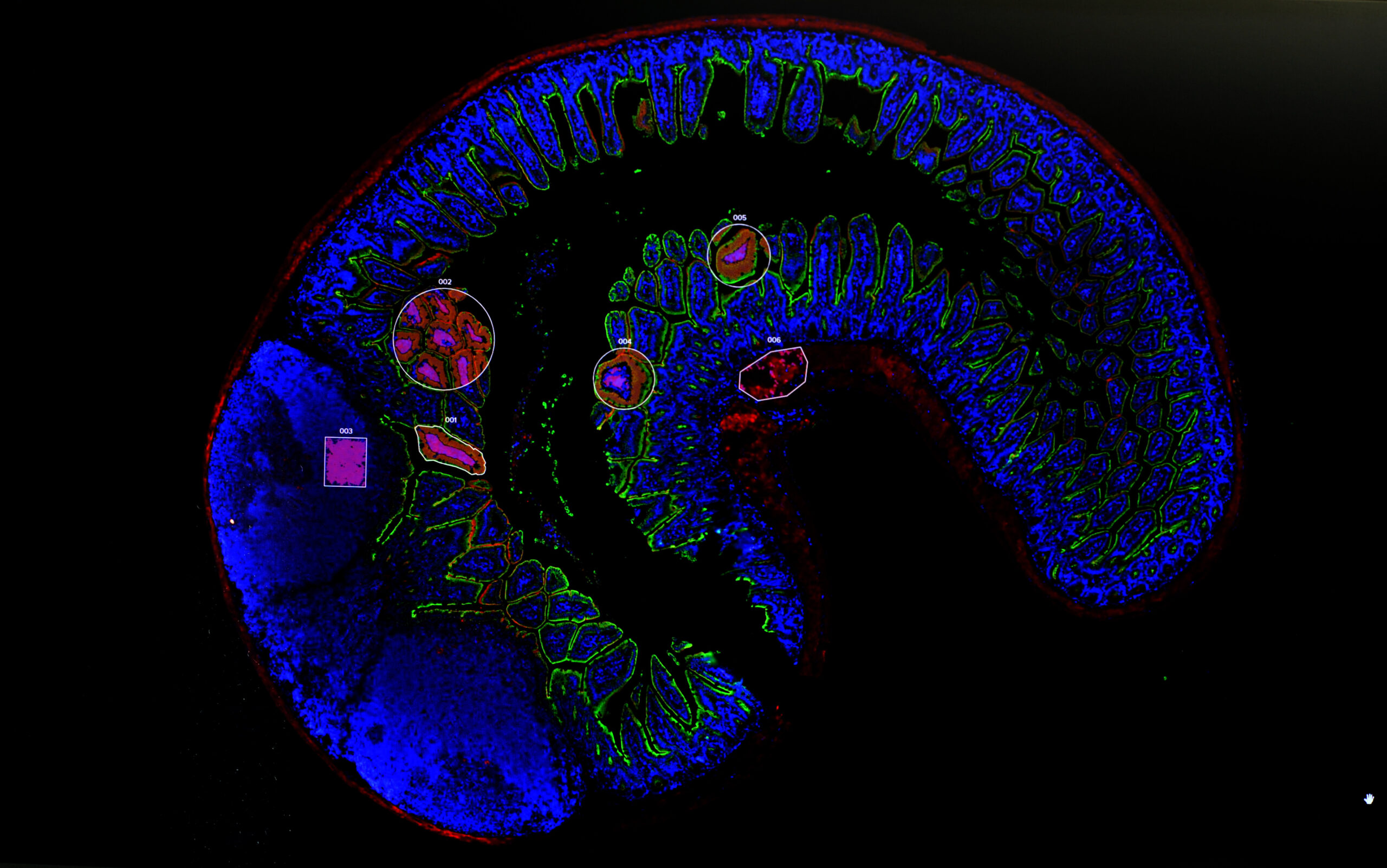 NanoString | Laboratory for Biotechnology and Bioanalysis | Washington ...
