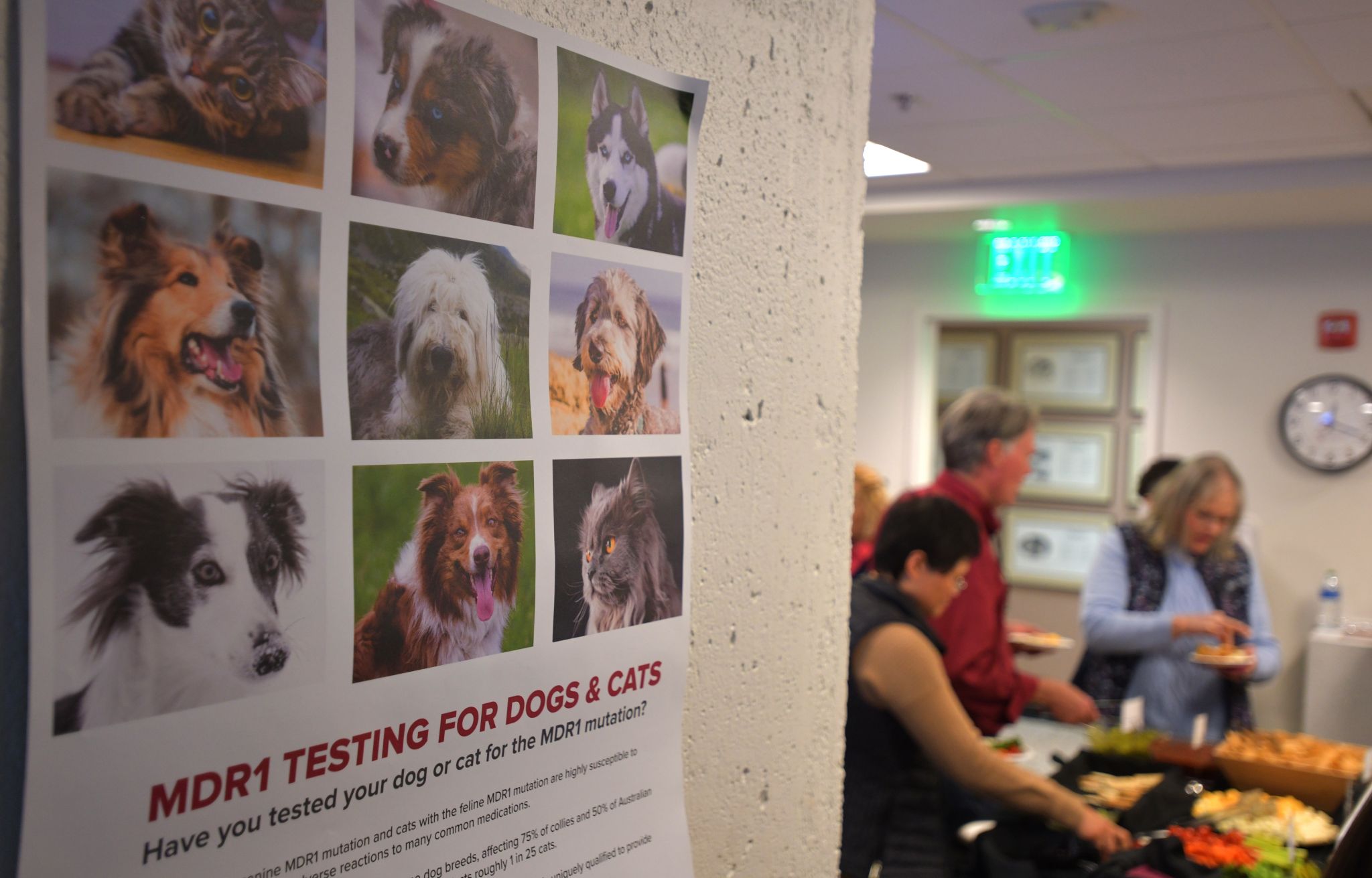 College of Veterinary Medicine celebrates MDR1 testing anniversary ...