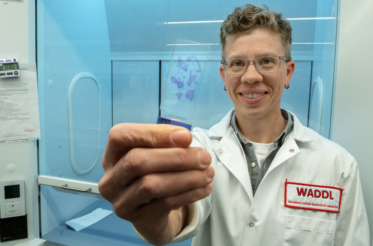 WADDL plays important summer role screening fish for emerging diseases ...