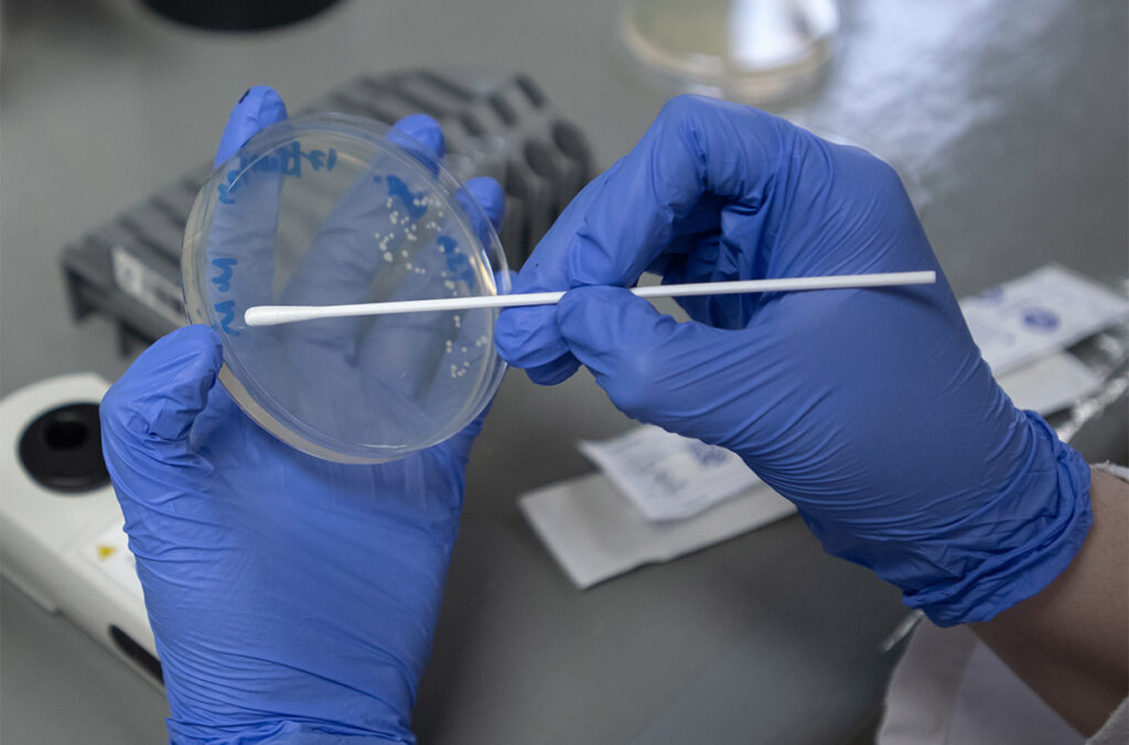 WSU among leaders in antimicrobial resistance research | Office of ...