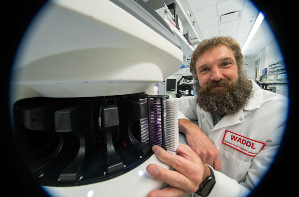 AI and digital pathology to be a ‘game-changer’ at WADDL | Office of ...