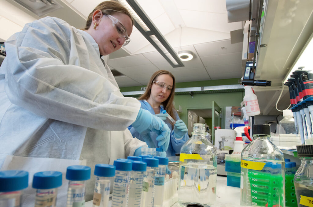 EschLEAD program opens doors to research for undergraduates | Office of ...
