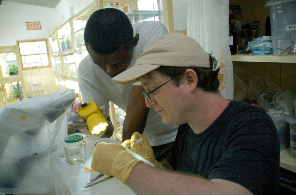 WSU pathologist to receive award for amphibian and reptile conservation ...