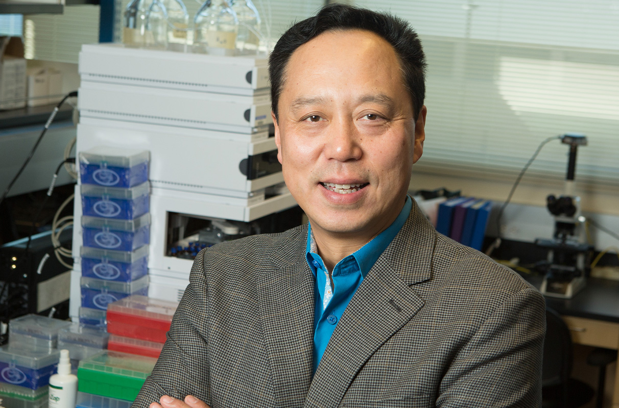 Wei Yan to lead WSU’s School of Molecular Biosciences | Office of ...