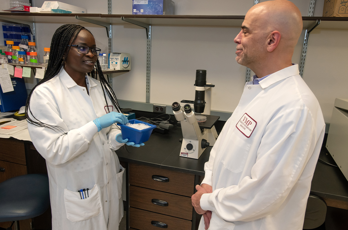 Research to stop viral infections receives $1.2 million grant | Office ...