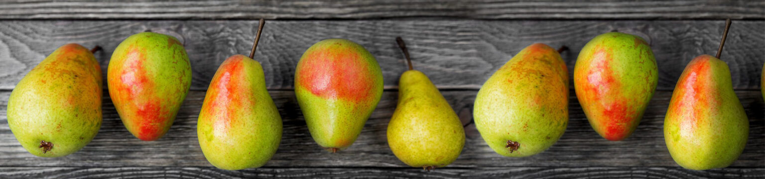 Washington State SNAP-Ed Providers | Washington State University