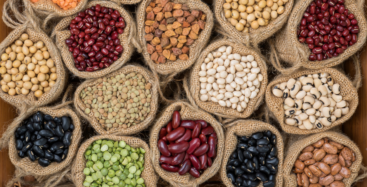 Required Statements and Posters | Washington State SNAP-Ed Providers ...