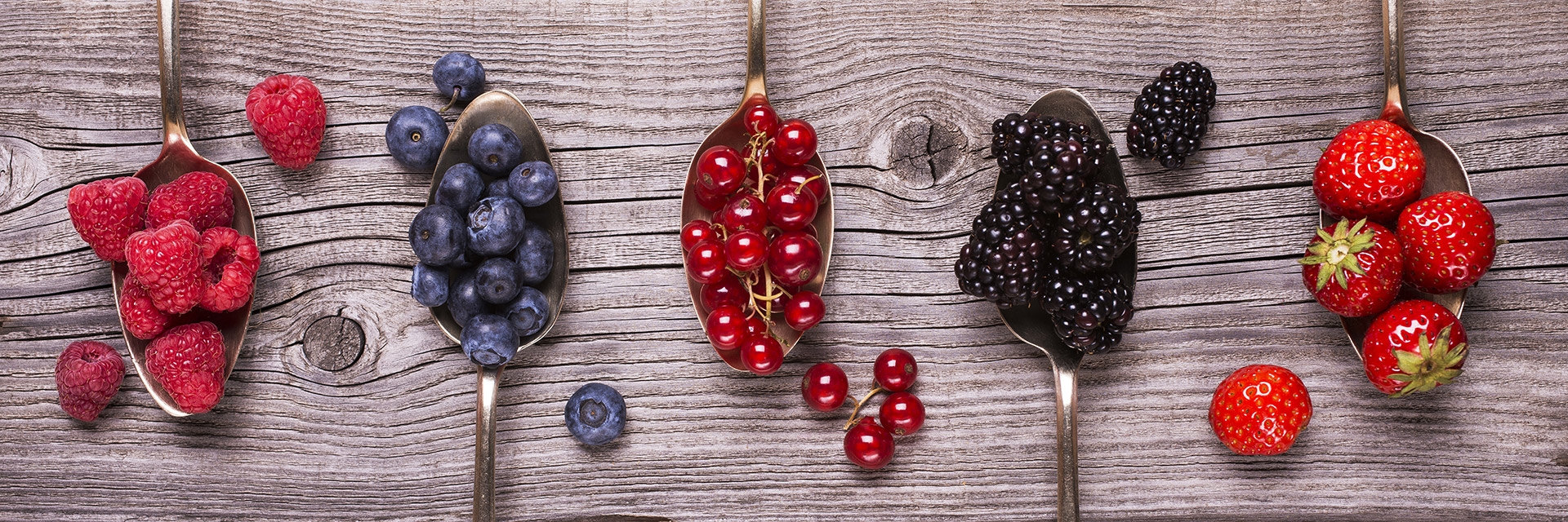 SNAP Produce Match | Washington State SNAP-Ed Providers | Washington ...