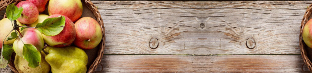 Curriculum Information & Resources | Washington State SNAP-Ed Providers ...