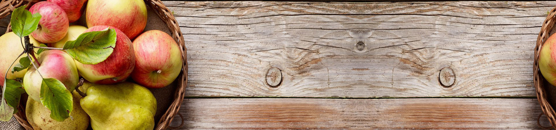 Curriculum Information & Resources | Washington State SNAP-Ed Providers ...