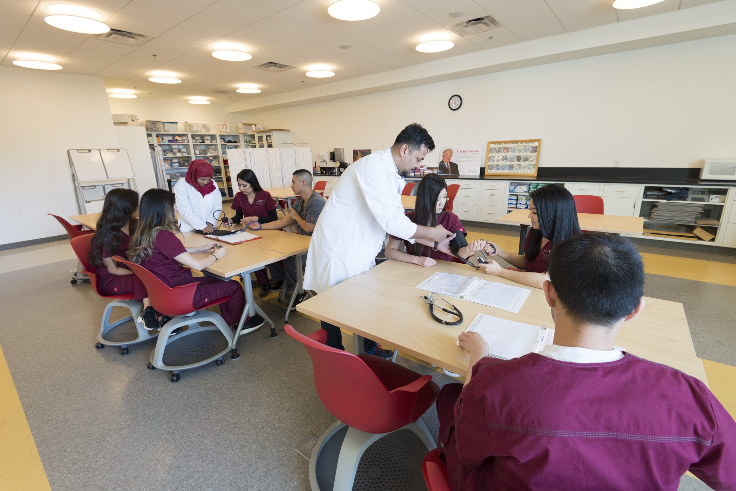 PharmD Curriculum | Pharmacy and Pharmaceutical Sciences | Washington State University