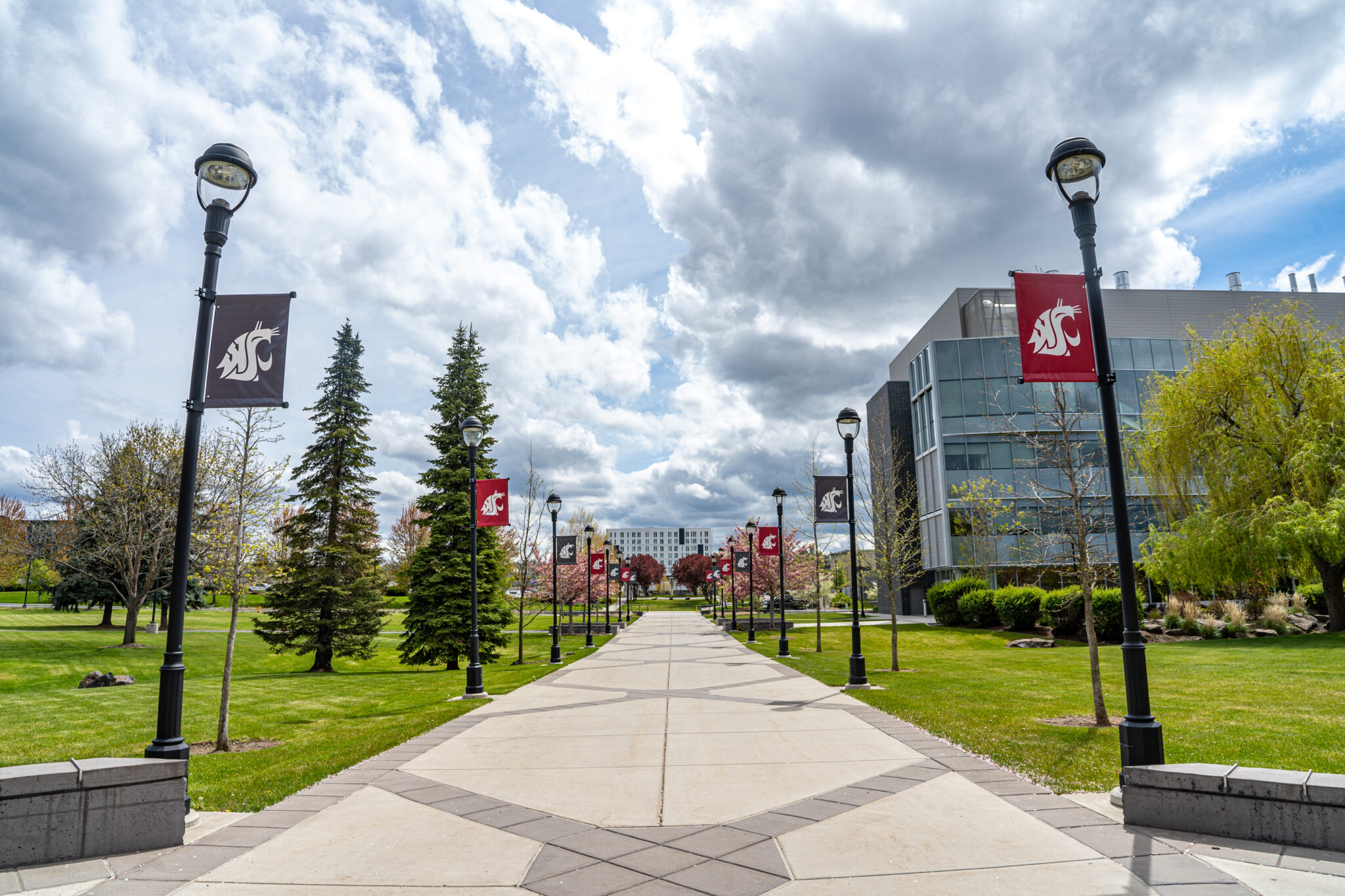 PhD in Pharmaceutical Sciences and Molecular Medicine | Pharmacy and ...