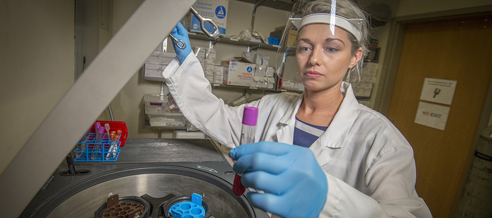 Bloodborne Pathogens | Research | Washington State University