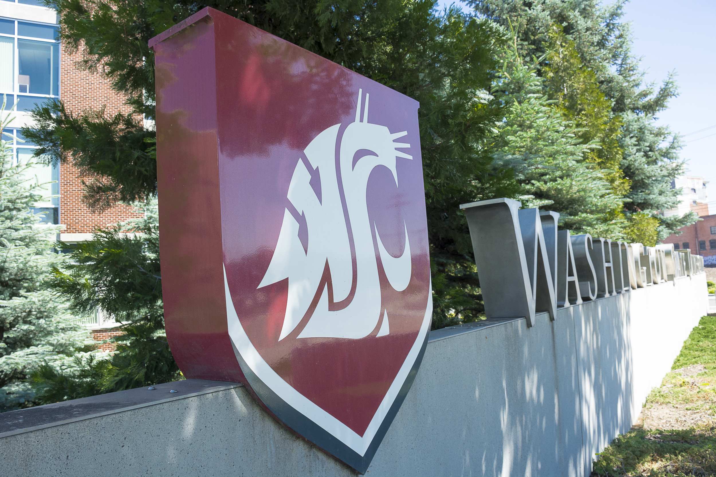 Three WSU Spokane faculty members honored | News & Events | Washington ...