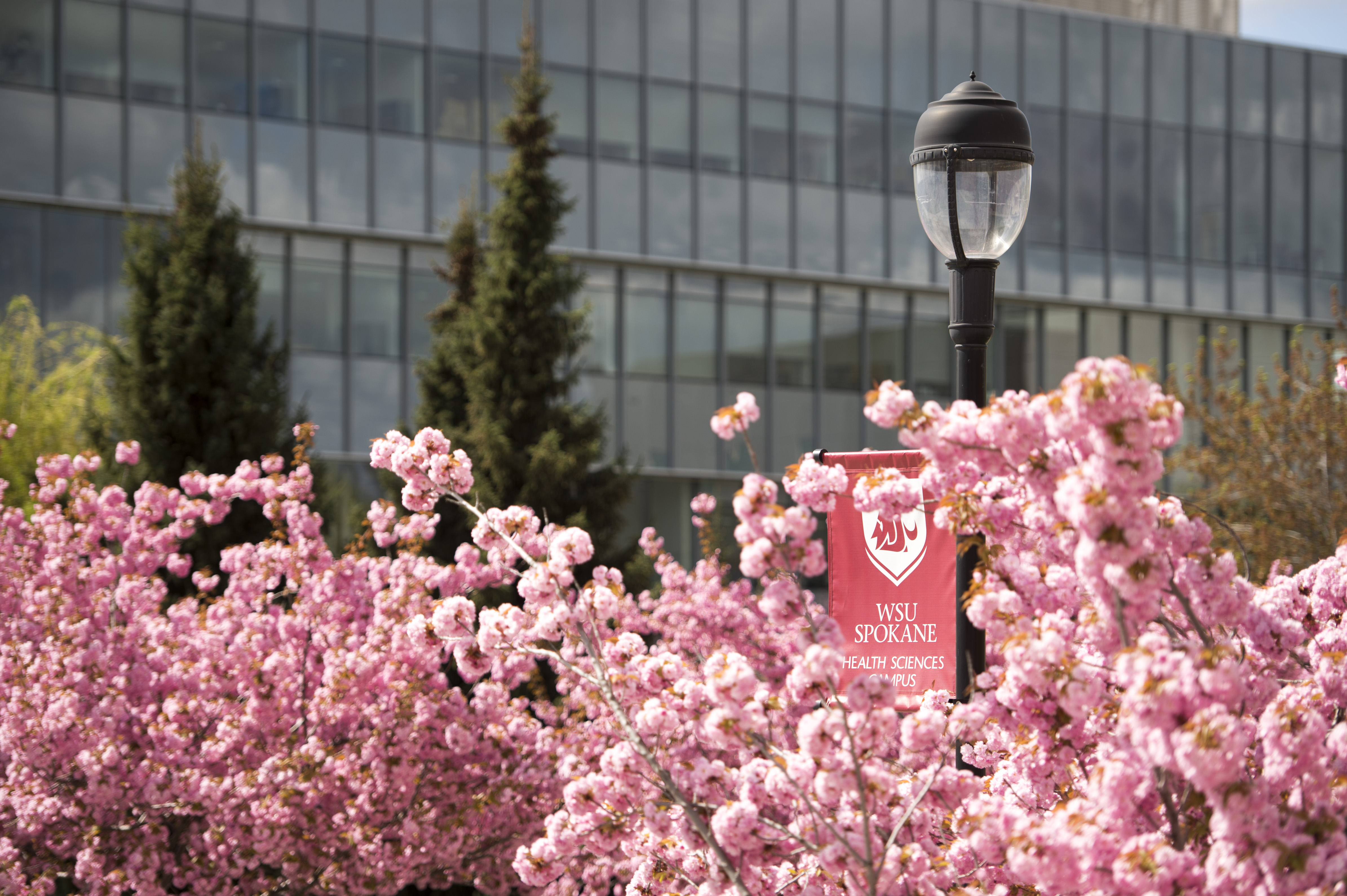 A potpourri of WSU Spokane news and notes | News & Events | Washington ...