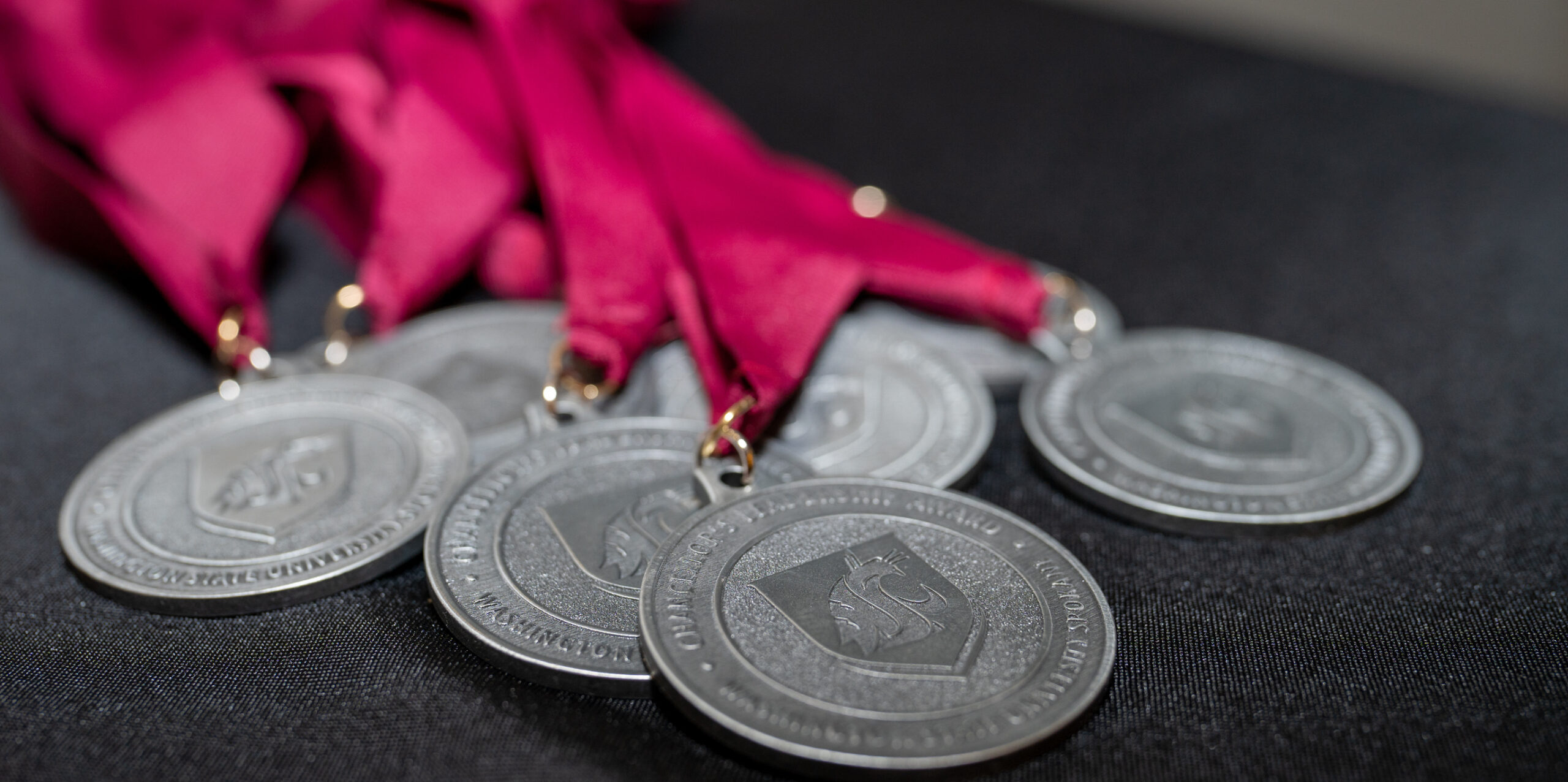 2023 Chancellor’s Excellence Awards | News & Events | Washington State ...
