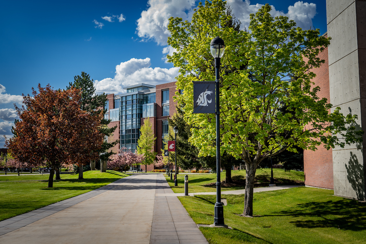 News & Events | Washington State University