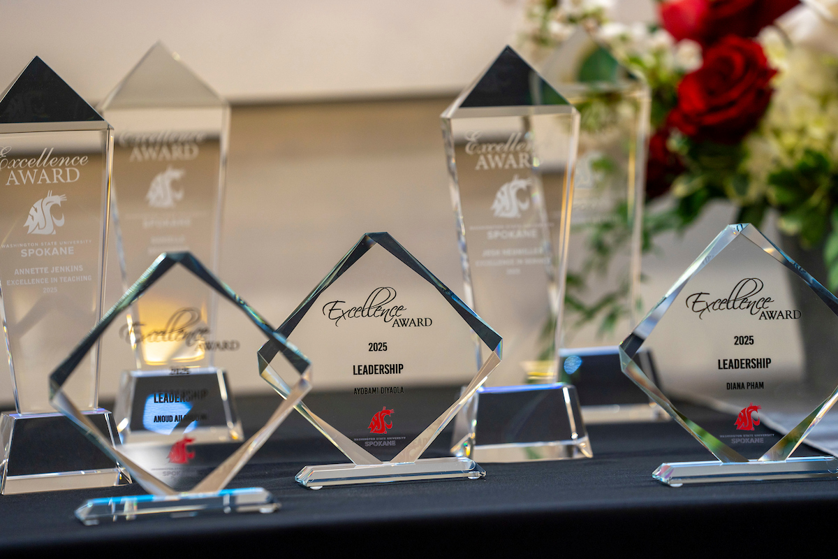 Honoring 2025 Chancellor’s Excellence Award Winners | News & Events ...