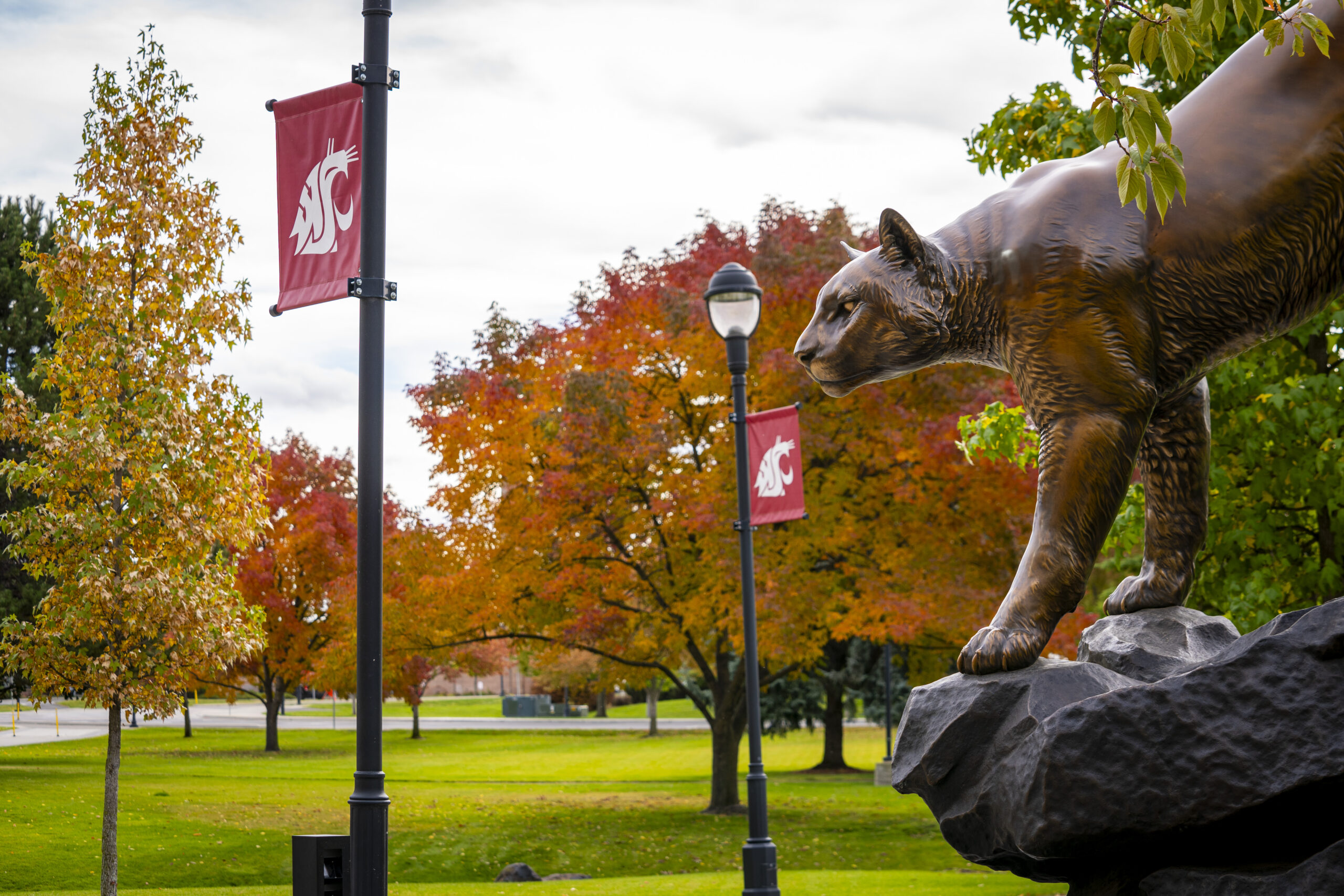 News & Events | Washington State University