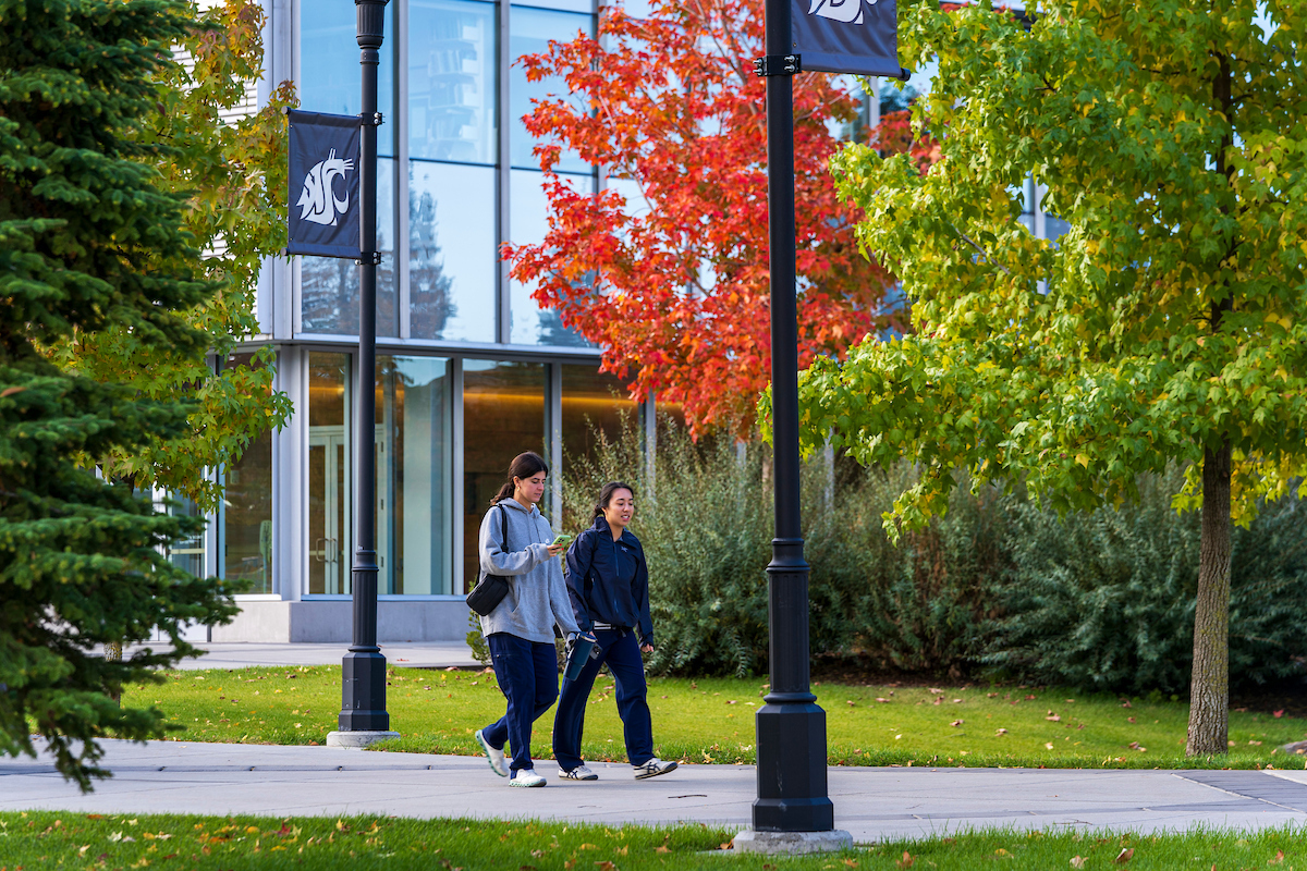 Celebrating Transfer Students at WSU Spokane | News & Events ...