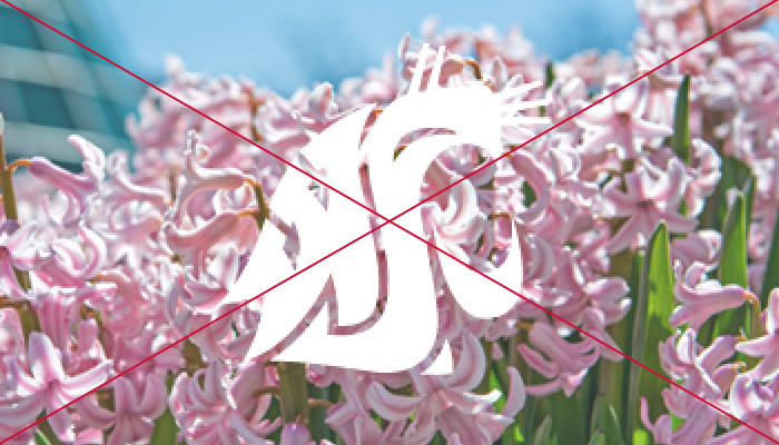 Logos – Washington State University