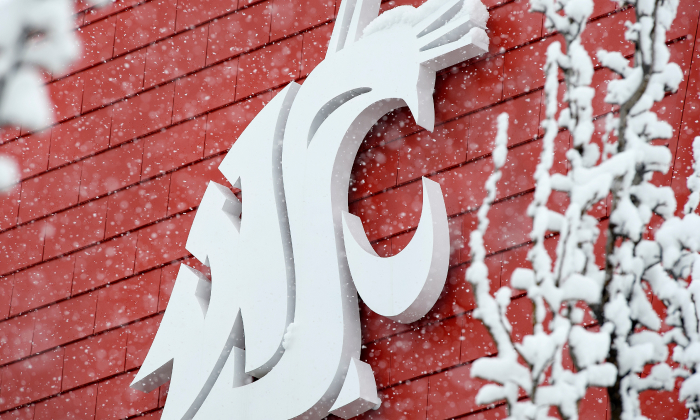 Downloads – Washington State University