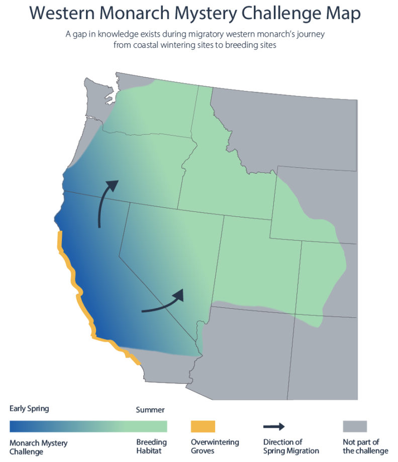 Help us find western monarchs! | Conservation Biology Lab | Washington ...