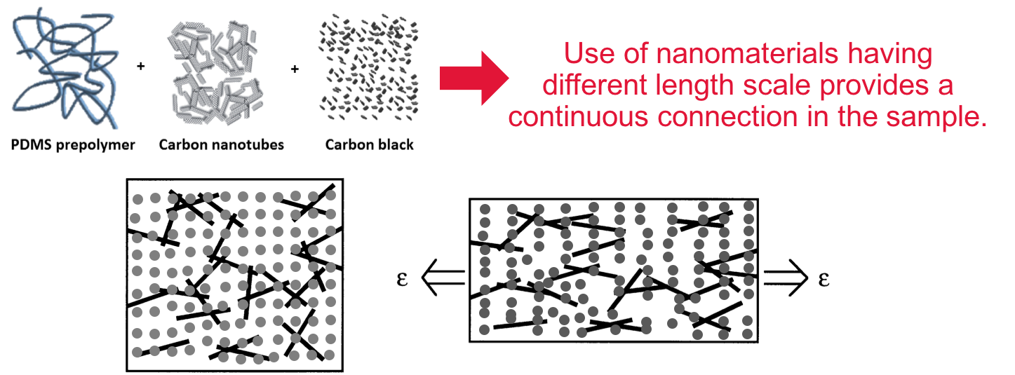 Research | Micro-Nano-Bio Systems Lab | Washington State University