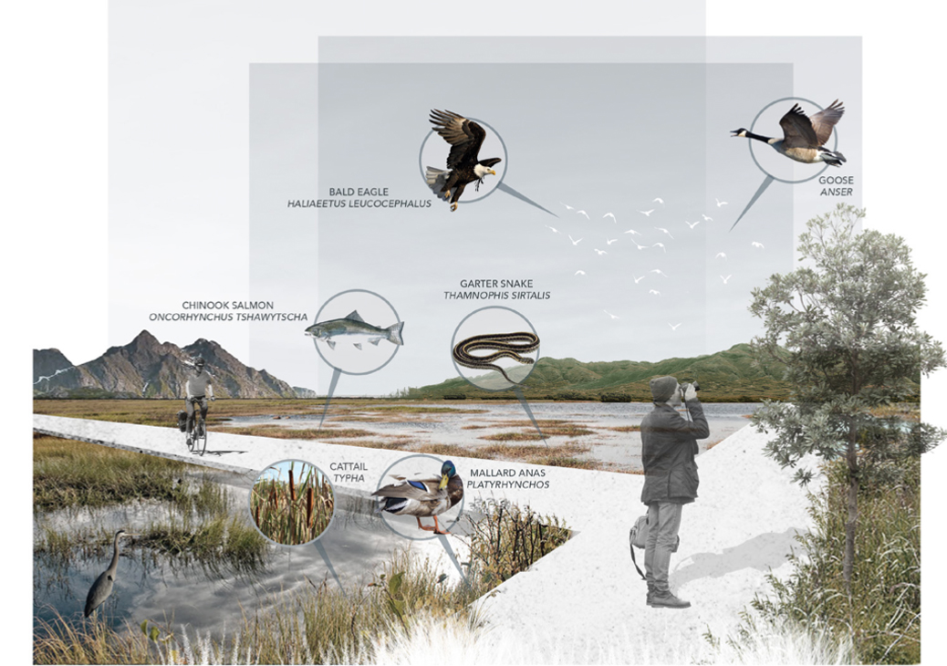 Landscape Architecture | School of Design and Construction | Washington ...