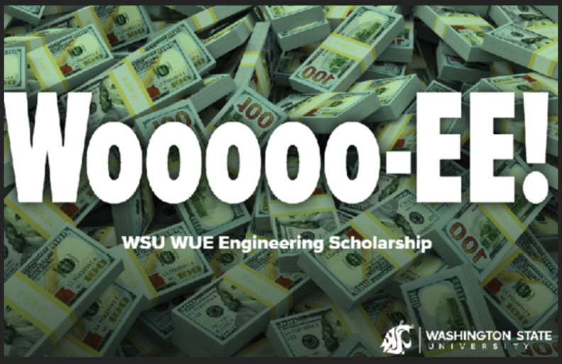 Voiland College of Engineering and Architecture | Washington State ...