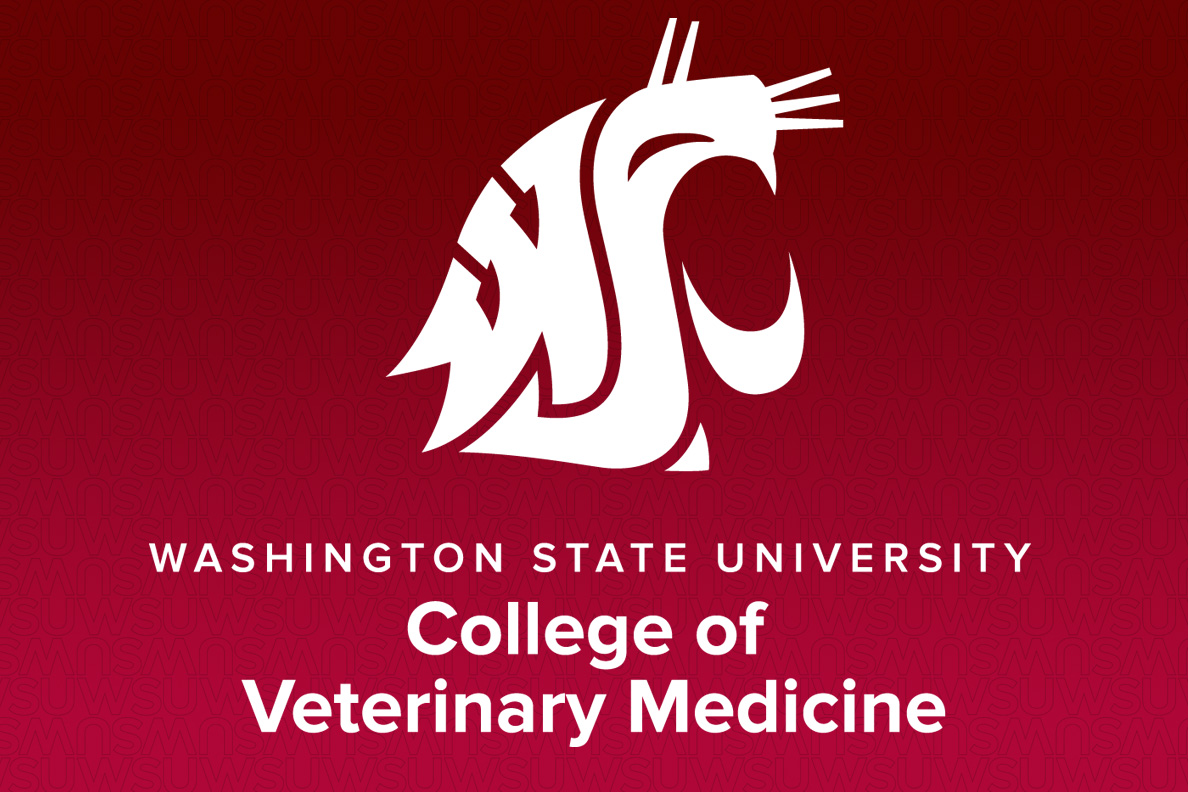 2025 Newbrey Awards | College of Veterinary Medicine | Washington State ...
