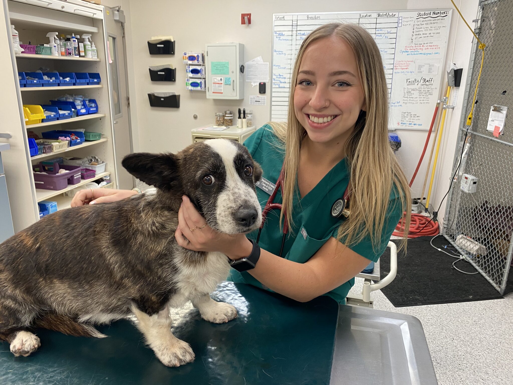 Meet the Class of 2024: Stephanie Erdesz | College of Veterinary ...