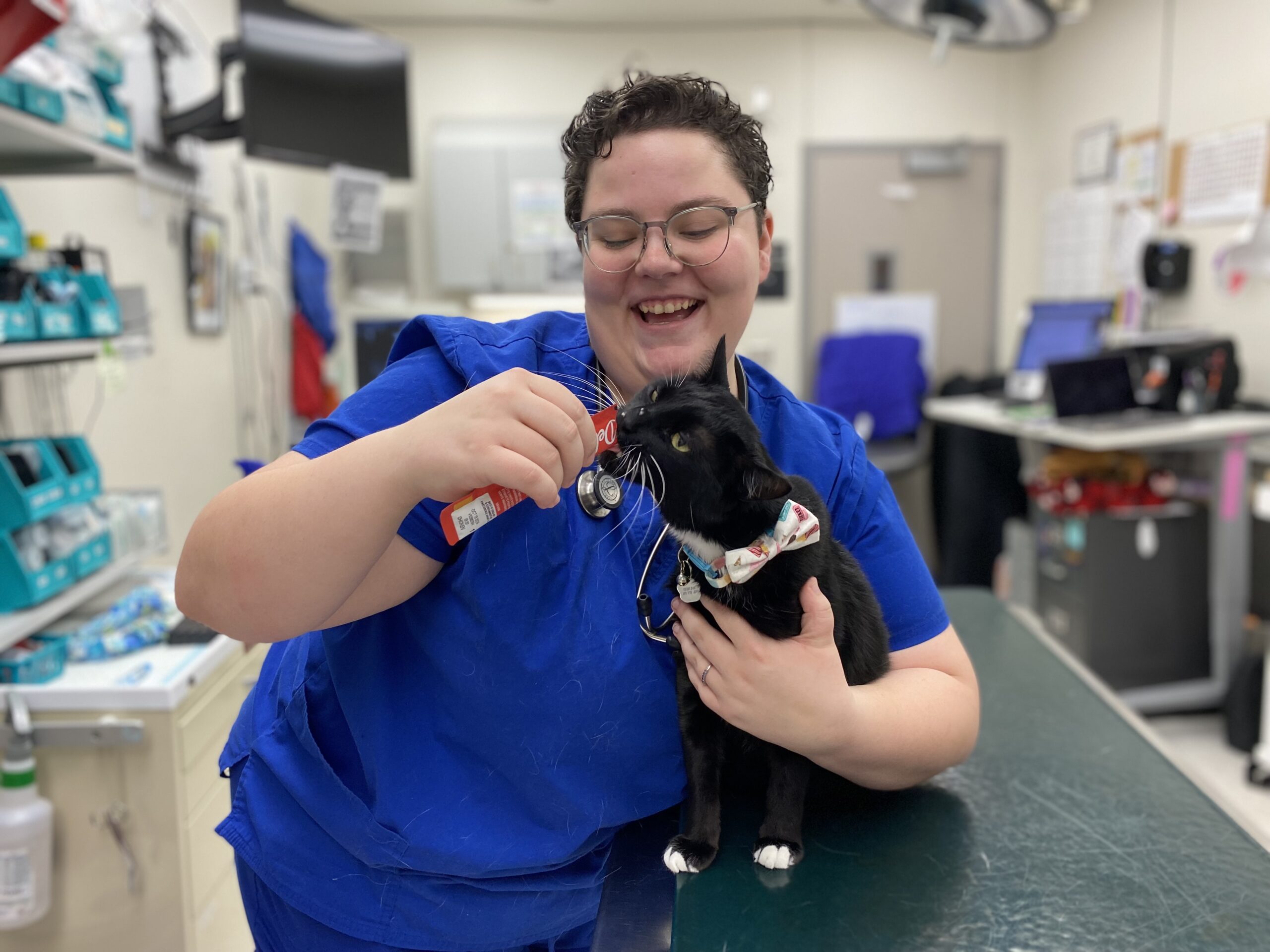 Meet the Class of 2024: Emma Law | College of Veterinary Medicine ...