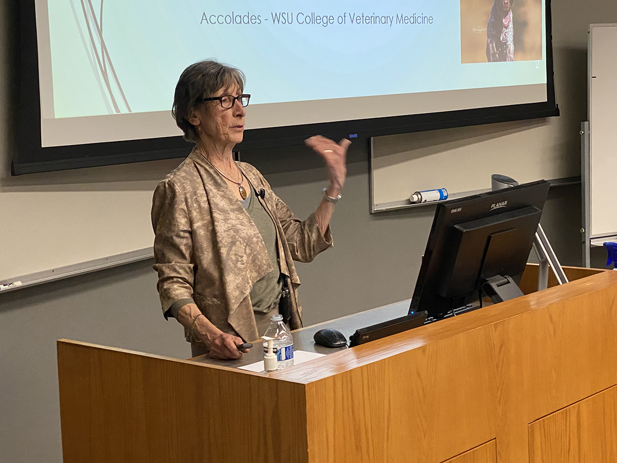 Pet Loss | Veterinary Teaching Hospital | Washington State University