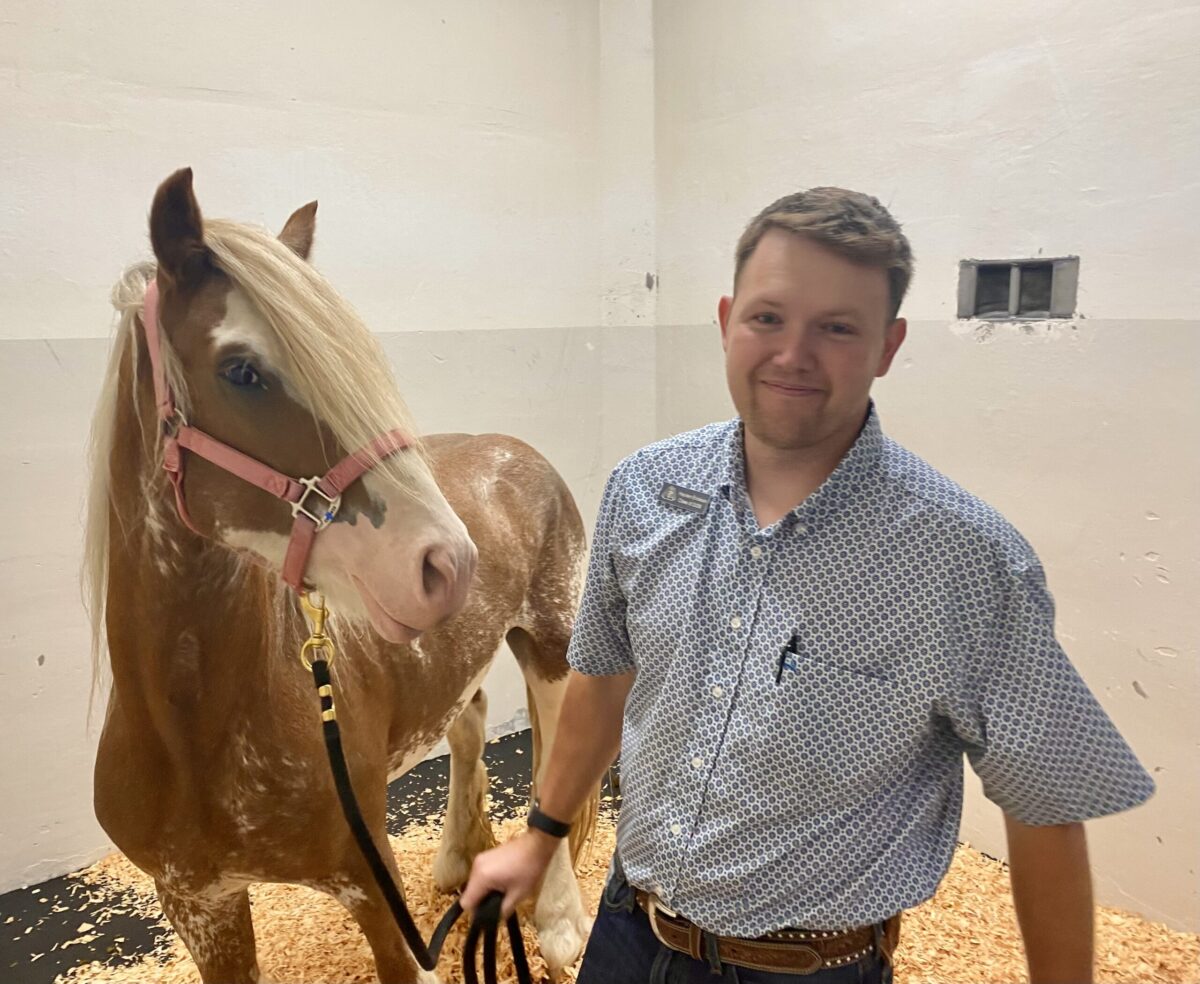 Meet the Class of 2026: Hayden Erickson | College of Veterinary ...