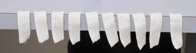 How to fit a dog with a Holter monitor | Veterinary Teaching Hospital ...