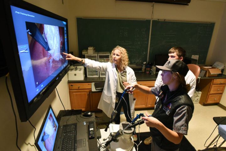 Meet the Veterinary Teaching Hospital team: Dr. Boel Fransson ...