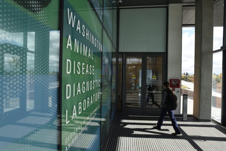About | Washington Animal Disease Diagnostic Laboratory | Washington ...
