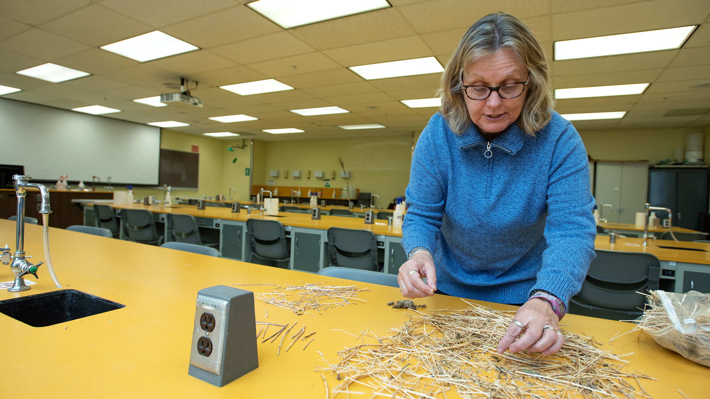 Toxicology | Washington Animal Disease Diagnostic Laboratory ...