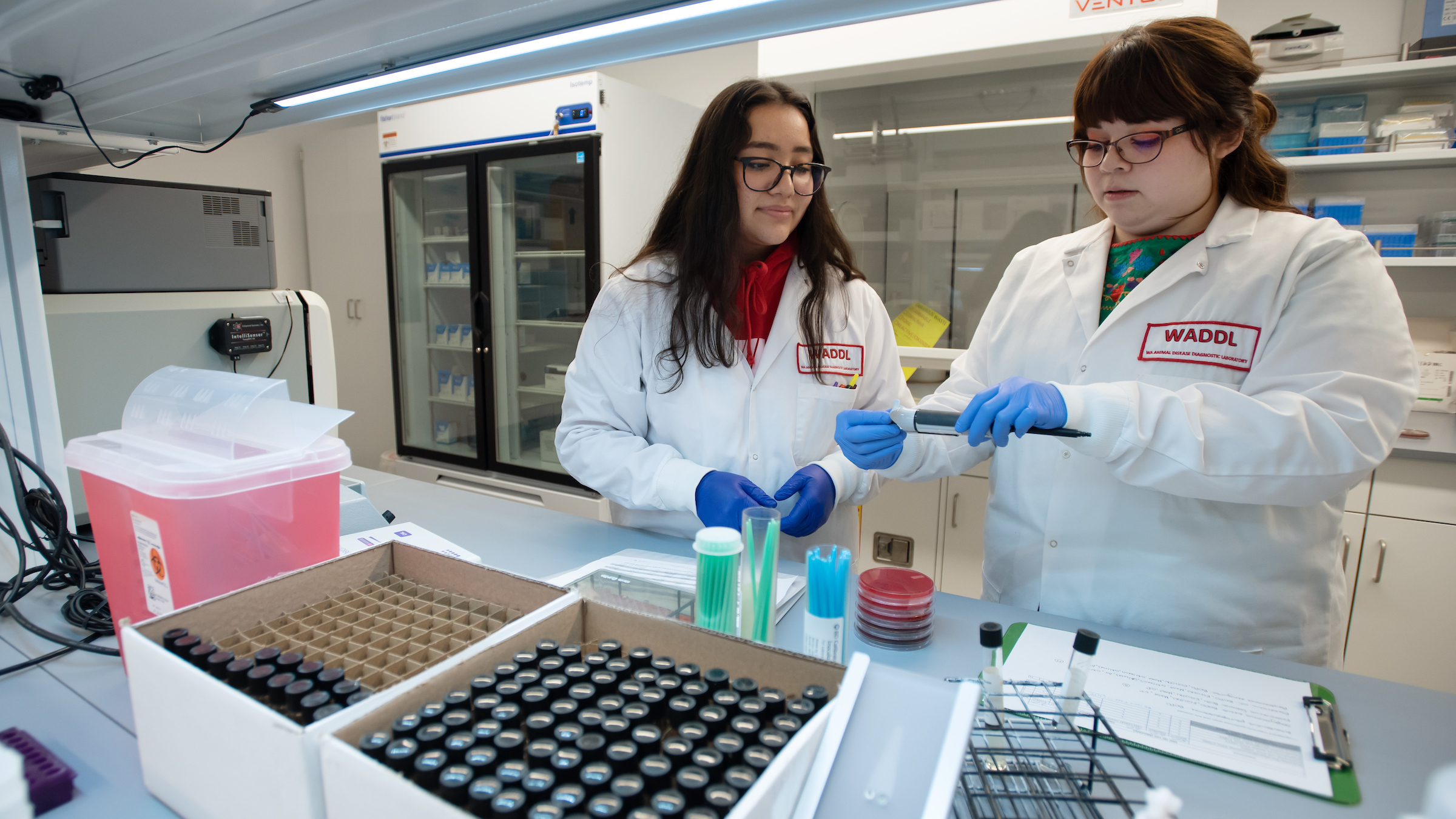 Rabies | Washington Animal Disease Diagnostic Laboratory | Washington ...