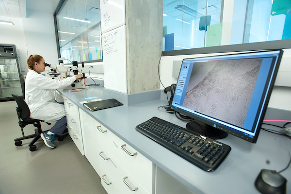 Infectious Hematopoietic Necrosis Virus: Certification and diagnostic ...