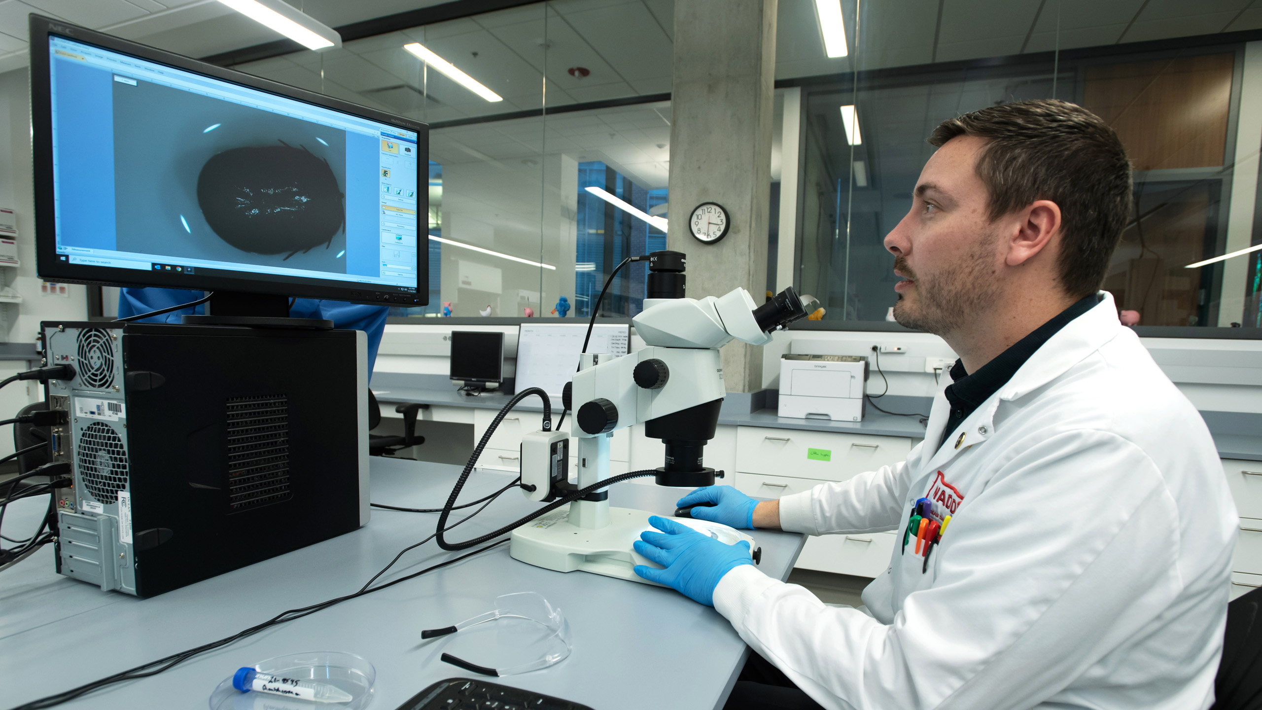 Parasitology | Washington Animal Disease Diagnostic Laboratory ...