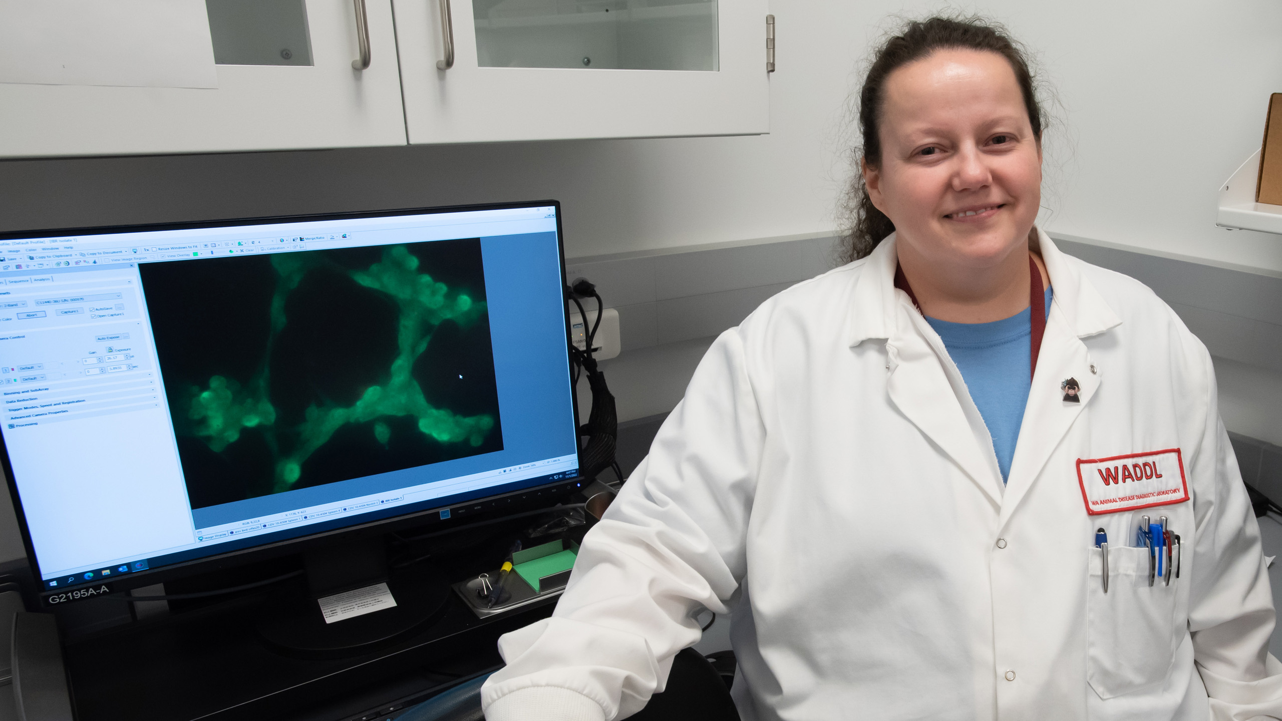 Virology | Washington Animal Disease Diagnostic Laboratory | Washington ...