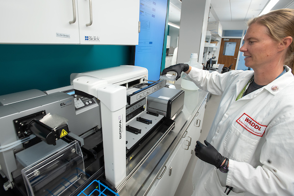 Testing fish for international movement | Washington Animal Disease ...